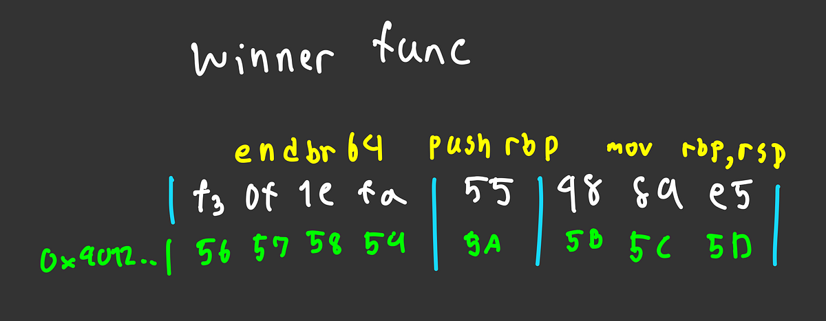 STDiO CTF 2023: 10 — The winner (Pwnable) writeup | by Natsuiro XCN | Medium