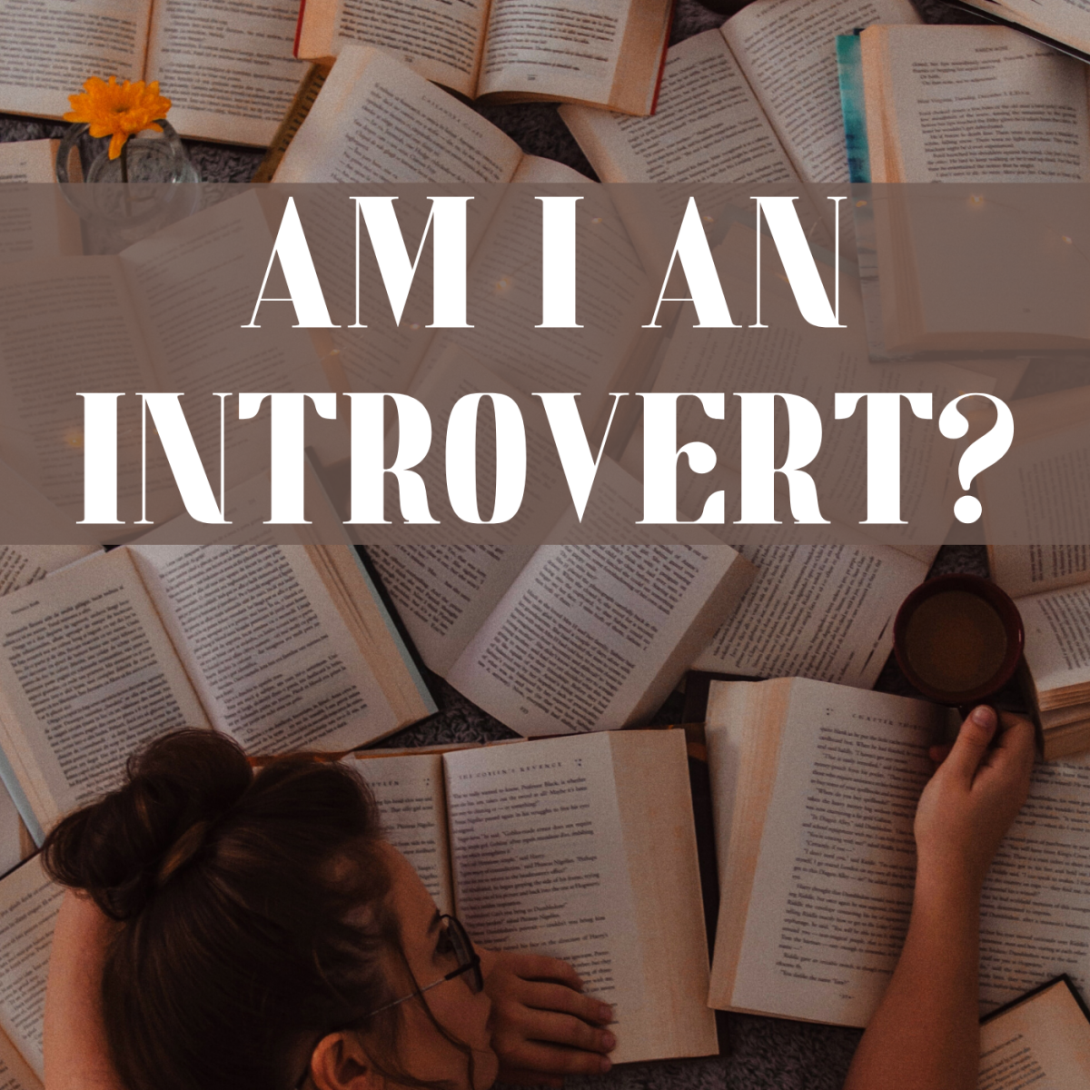 How to Tell If You’re an Introvert on the MBTI | by Andrea Lawrence ...