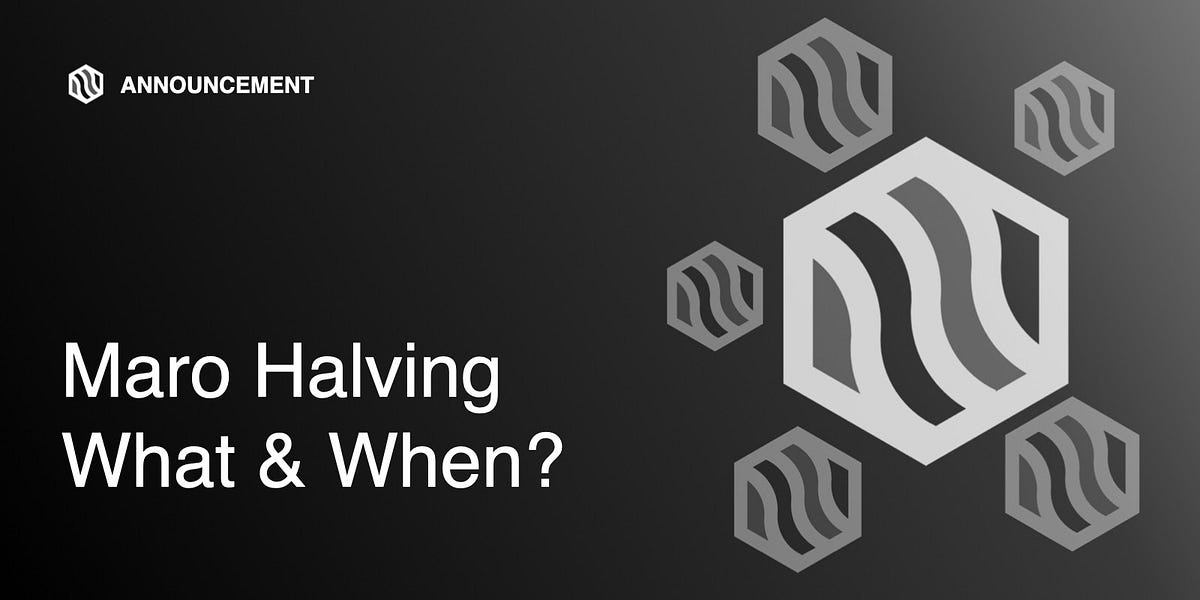 2nd Maro Halving — What it means and when it will happen | by maro ...
