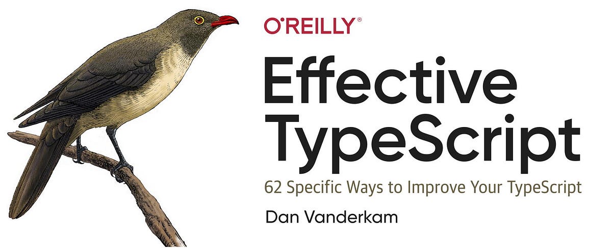 A Deep Dive into ‘Effective TypeScript Chapter 2 , Part 1 | by Bahar Ghafari | Feb, 2024 | Medium