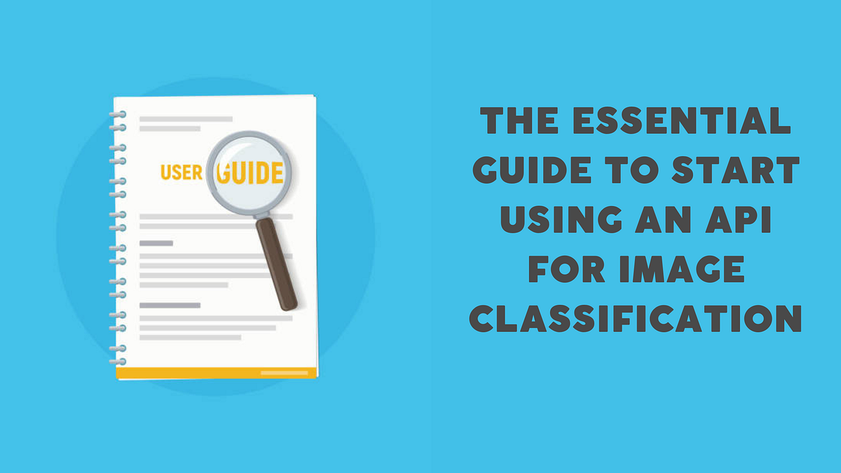 The Essential Guide To Start Using An API For Image Classification | by TheStartupFounder.com ...