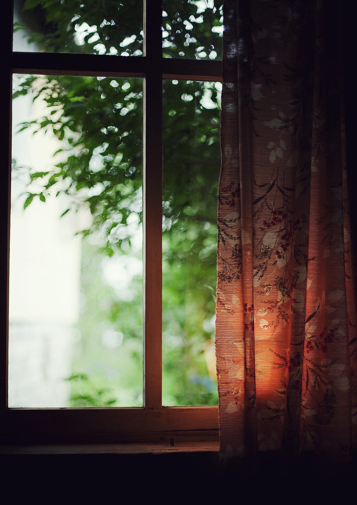 Enjoying What You See Through Your Windows? | by Douglas Lim | Write ...