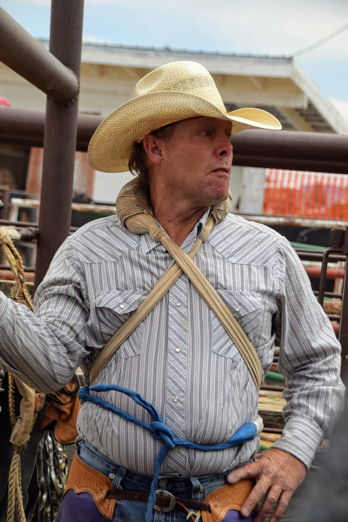 Cowboy Elegy. In August of 2022, I wrote this essay… | by Jewel Allen ...