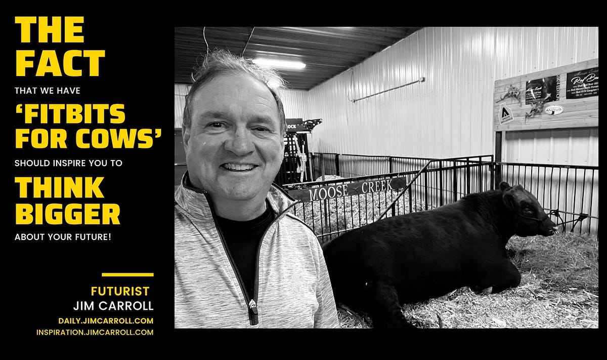 Connected Cows. “The fact that we have ‘fitbits for… | by Futurist Jim ...