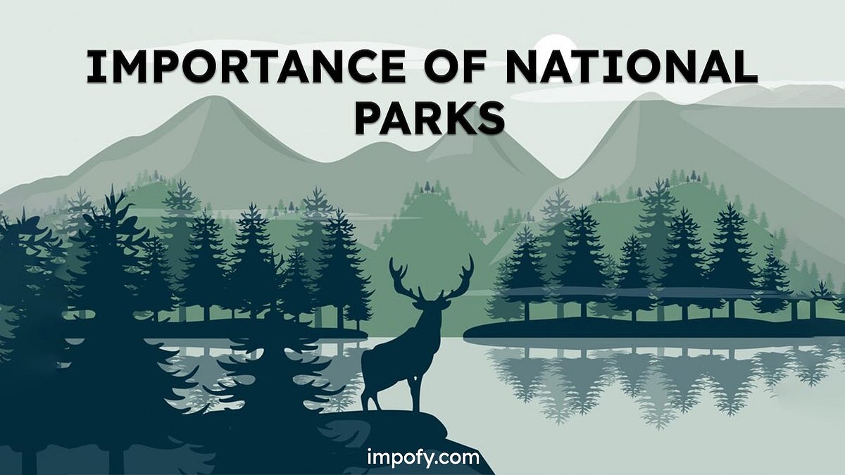 Urgent Actions to Preserve National Parks for Future Generation | by ...