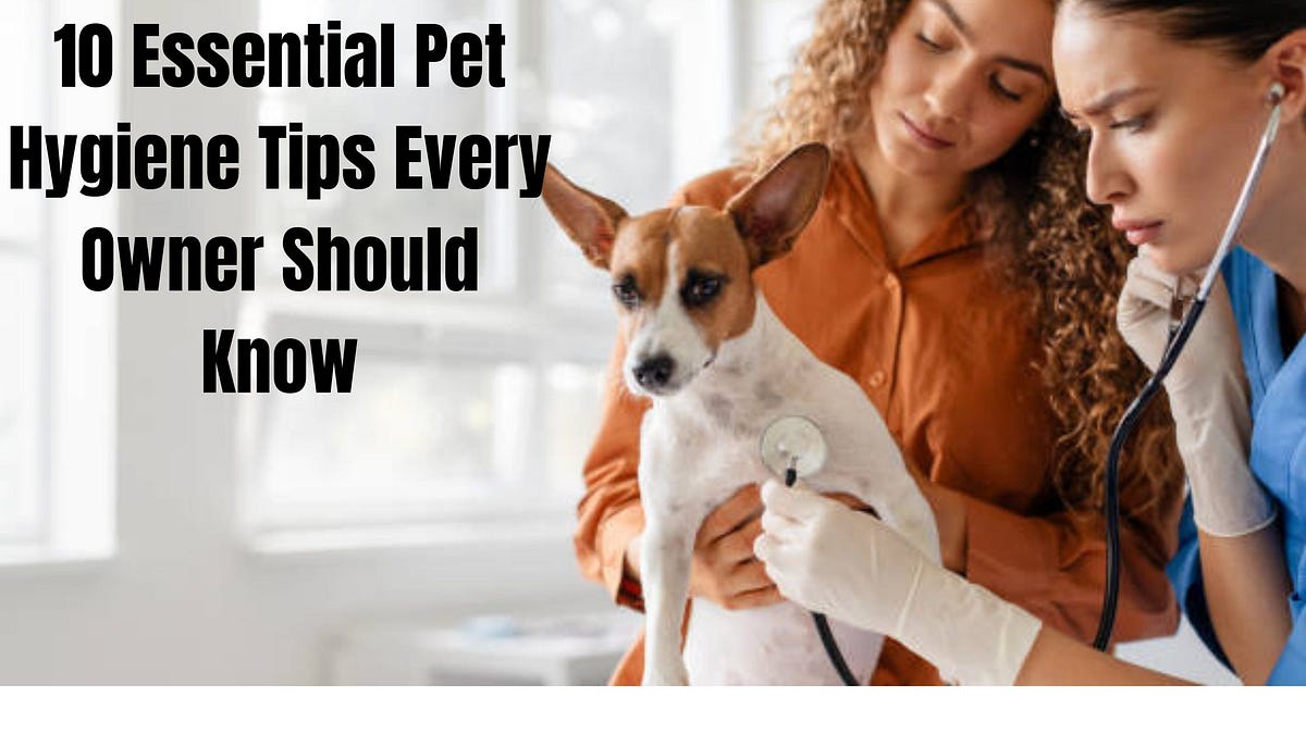 10 Essential Pet Hygiene Tips Every Owner Should Know | by kristan ...