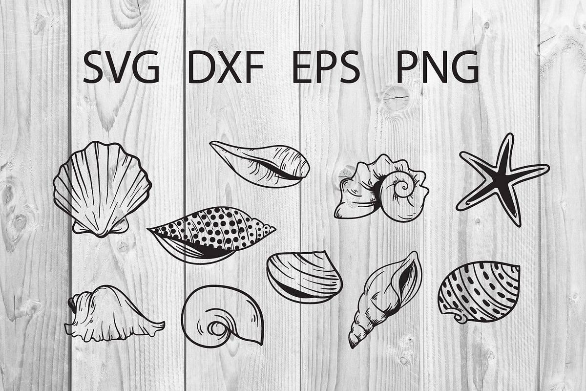 Seashell Cut File Svg | by Novanebulae | Jun, 2024 | Medium