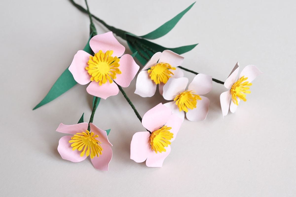 Wildflower Papercraft | by Leejunhe | Jun, 2024 | Medium