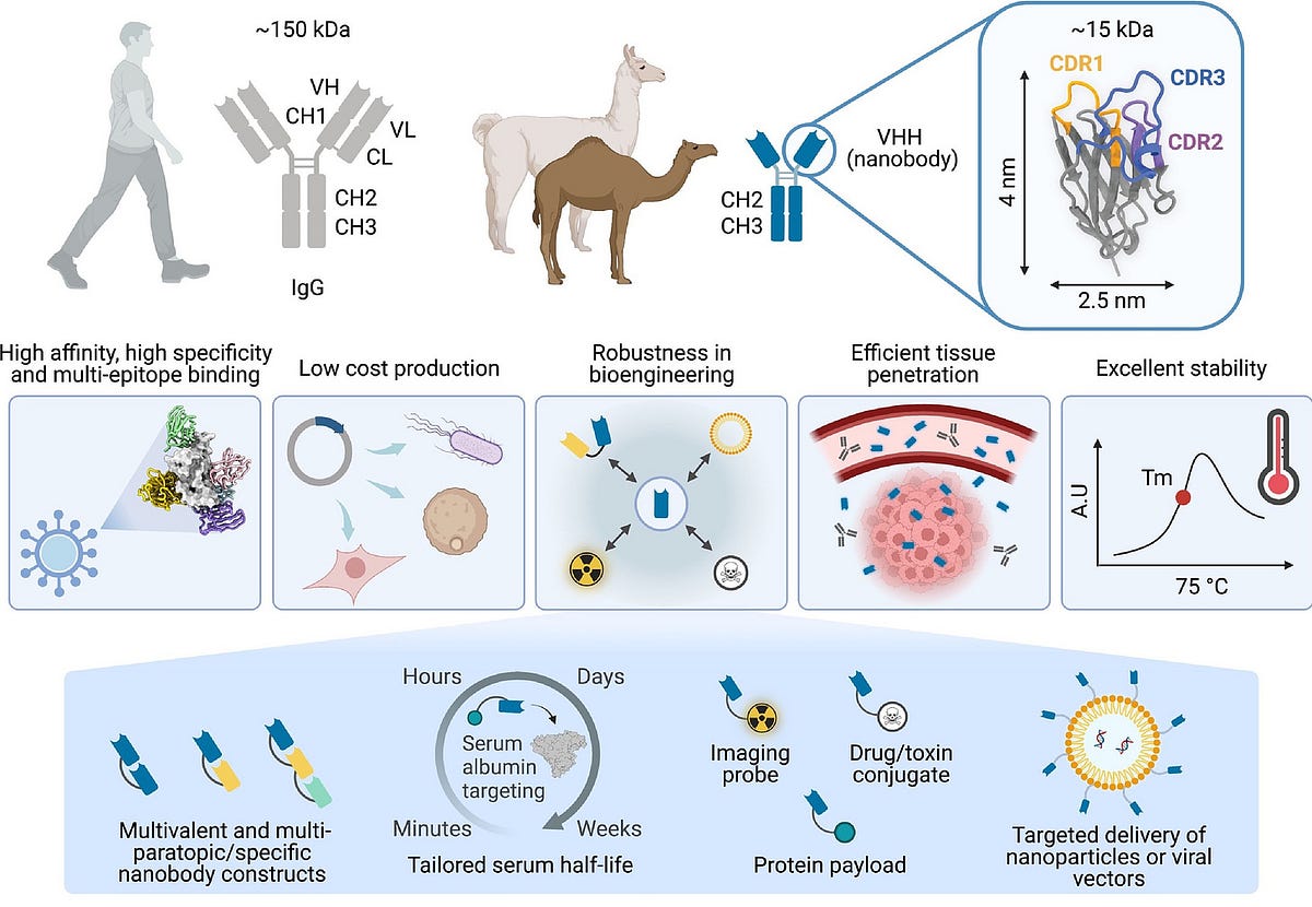 Nanobody therapeutics. Axial: https://linktr.ee/axialxyz | by Axial ...