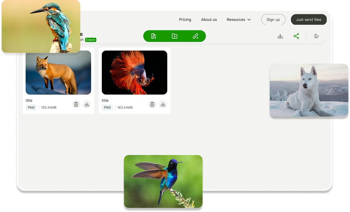 5 Reasons Why Videographers Should Use DROP as Their DAM Platform | by ...