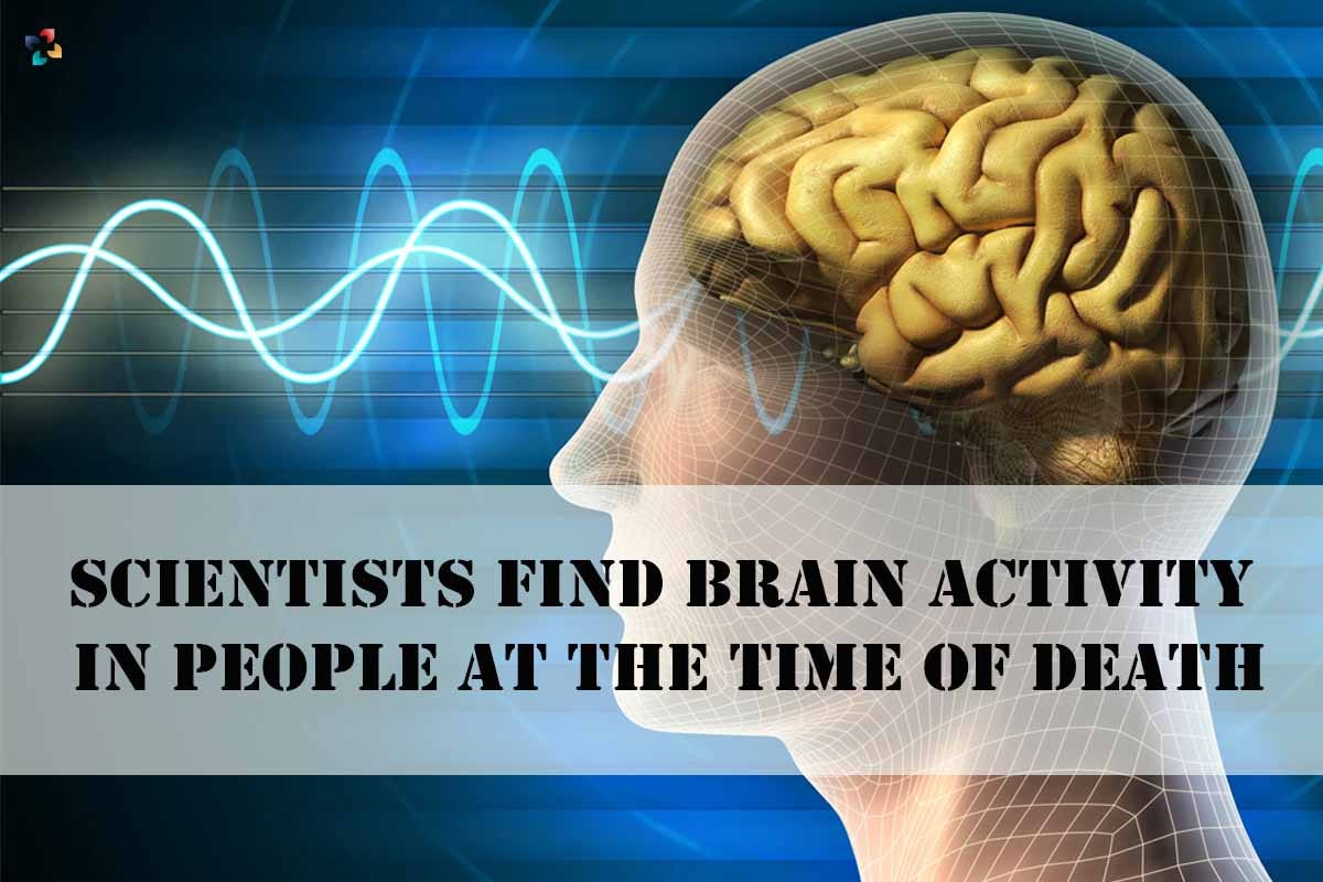 Scientists Find Brain Activity in People at the Time of Death | by ...