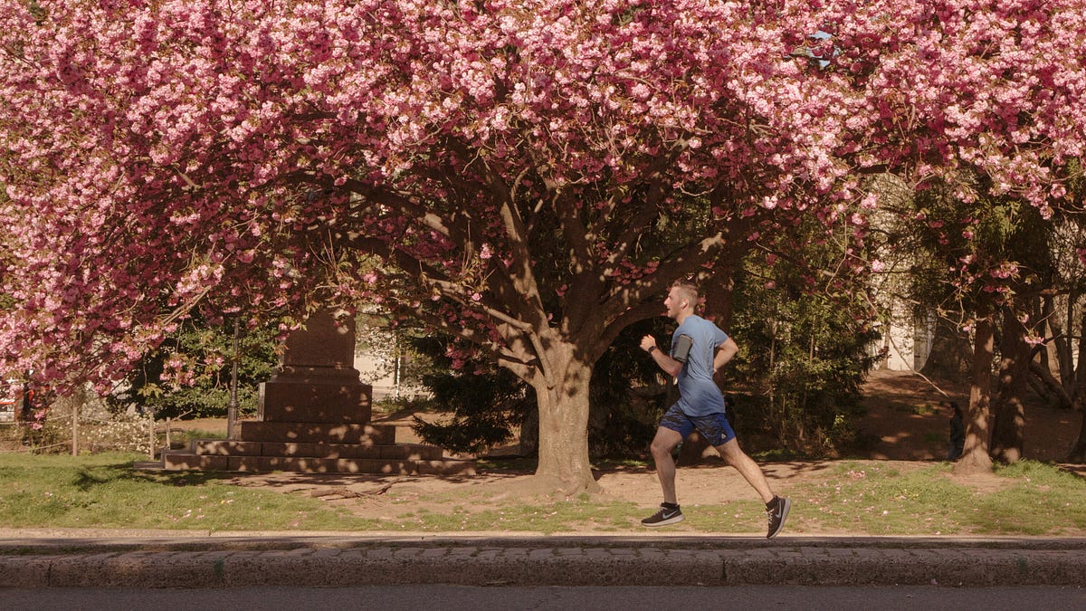 If you haven’t exercised in a few months and have lost the habit of ...