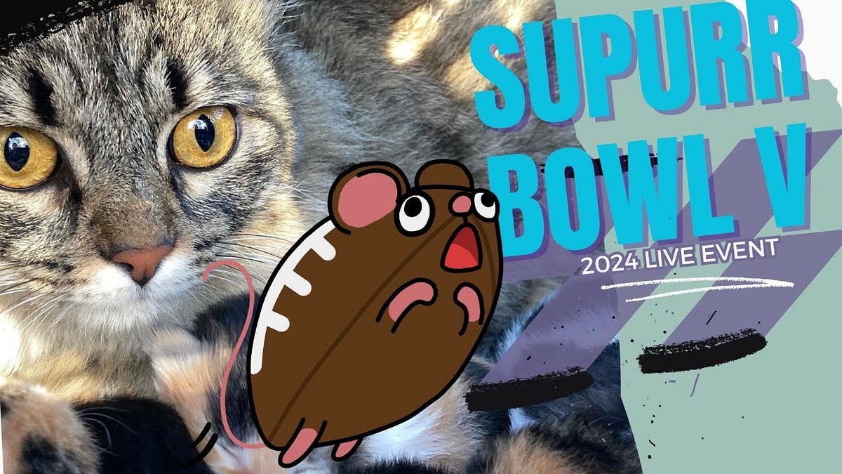 A Swift Recap of the CuteAvalance SuPurr Bowl | by Sam Proof ...