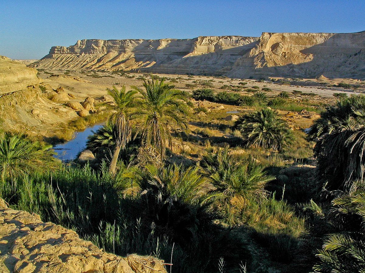 Oman. Get ready for a captivating expedition… | by Joseph Jilovec | Medium