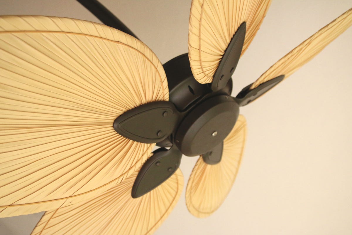 How Ceiling Fans Harm Your Health | by Andrew Poletto | ILLUMINATION ...