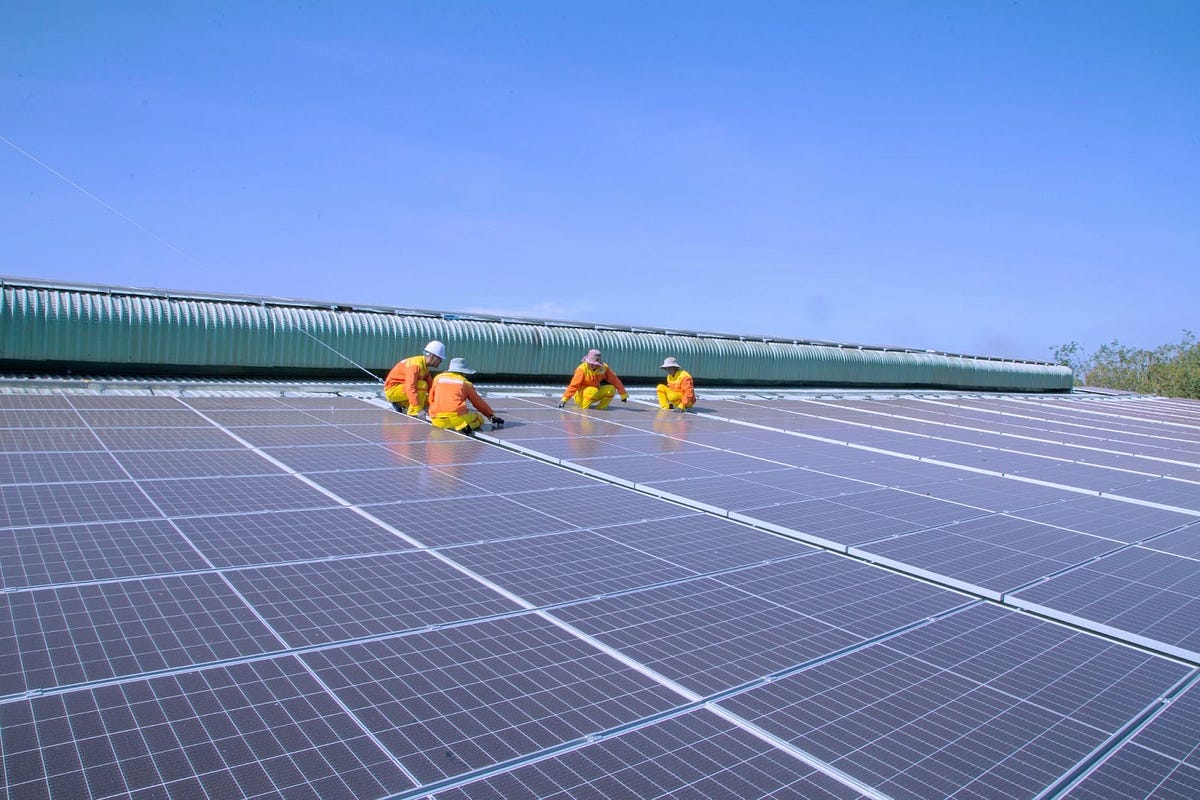 Solar Revolution: The Future of Renewable Energy | by Bluebird Solar ...