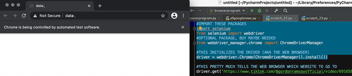 How To Make a Basic TikTok Scraping Tool In Python! | by Manpreet Singh ...