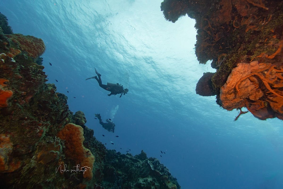 How to Drift Dive in Cozumel. May 1 | by Doug Atkinson | Medium