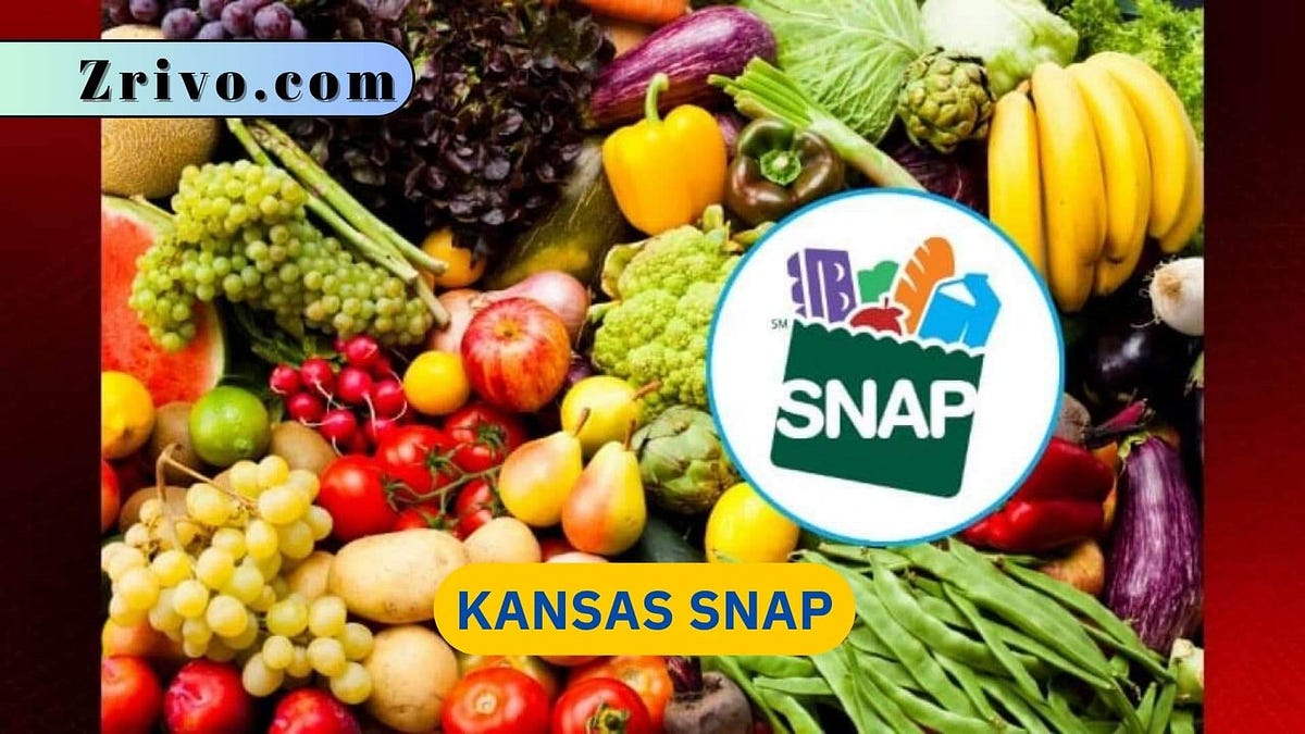 Kansas SNAP - Zrivo - Medium