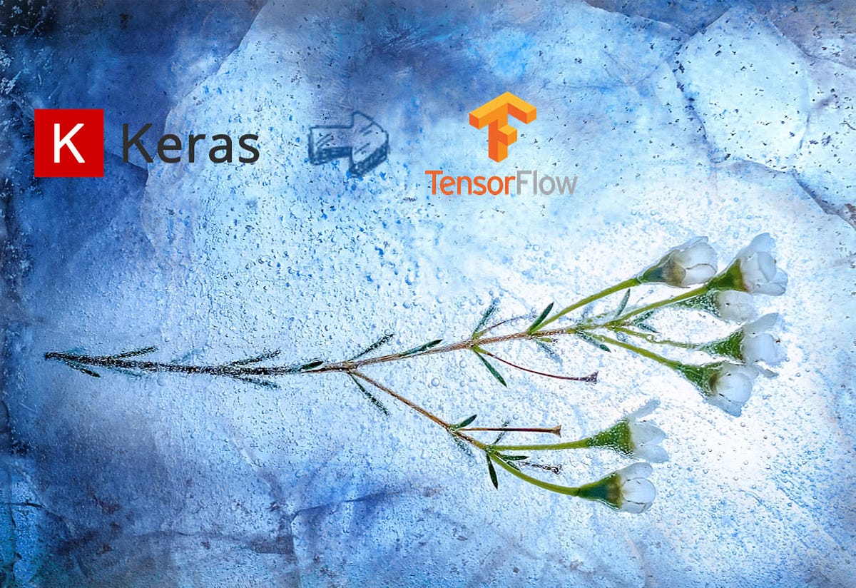 How to convert trained Keras model to a single TensorFlow .pb file and make prediction | by ...