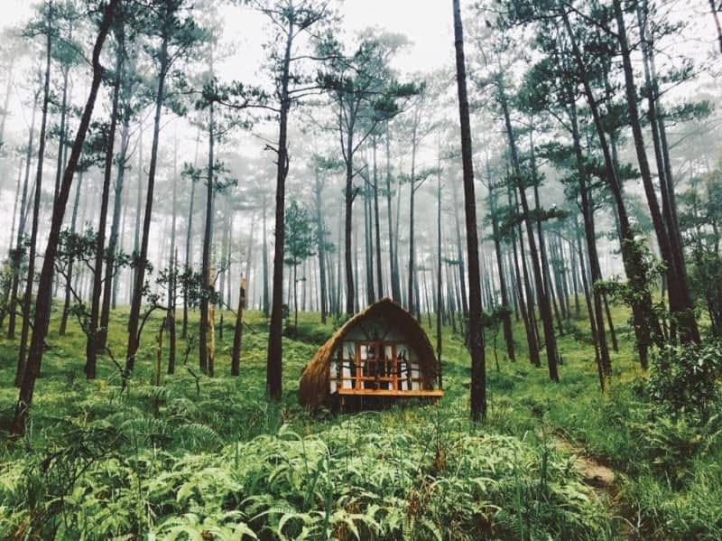 10 Eco Homestays in Vietnam (not listing on Agoda and Booking) | by ...