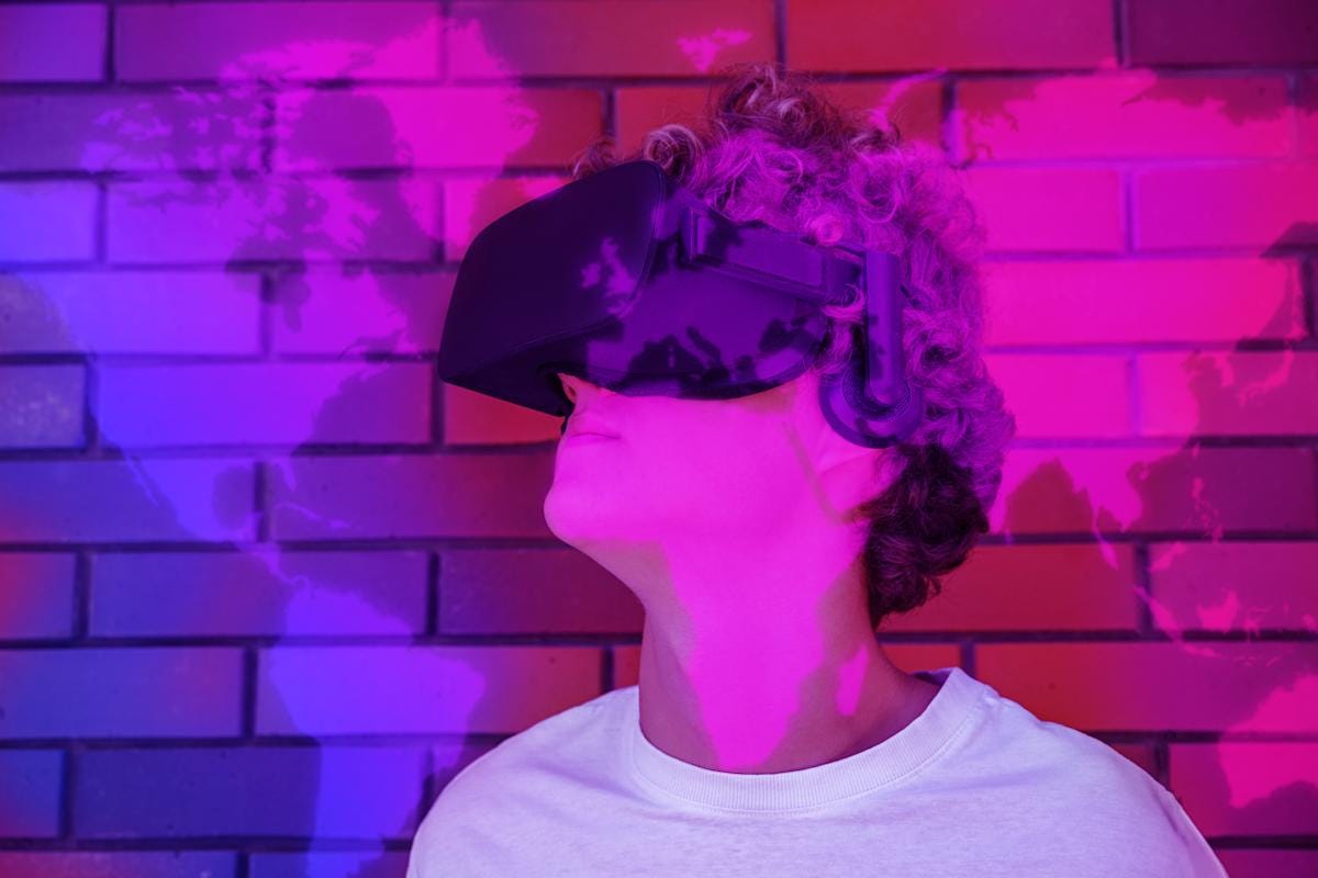 Who Is Excited About Metaverse Mania | DataDrivenInvestor