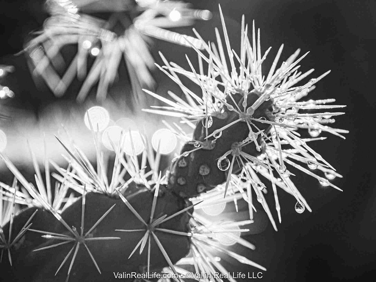 Postcards from Real Life: Bright. There’s something special about the ...