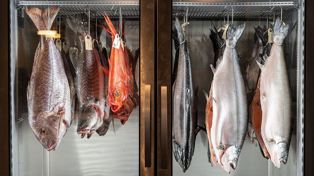 Why Dry-Aged Fish Should Be on Your Plate: A Complete Guide | by ...