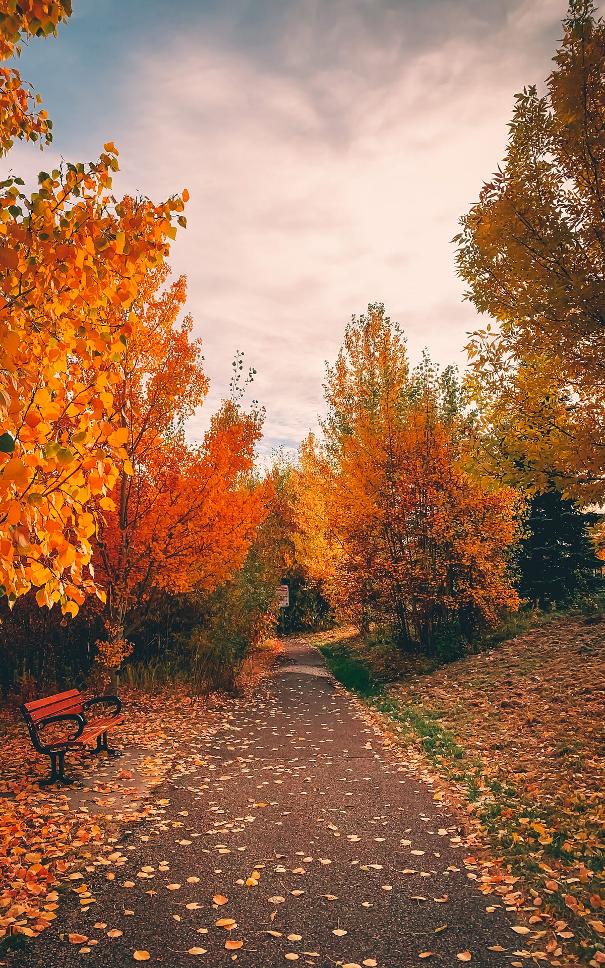 Best Trips for Viewing Fall Leaves | by Kathy Husser | Medium