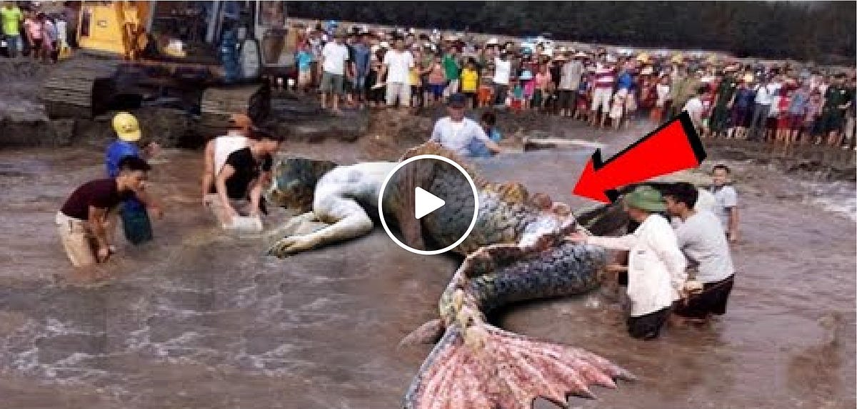 Rare Fish with Human-Like Upper Body - Amjedcheema - Medium