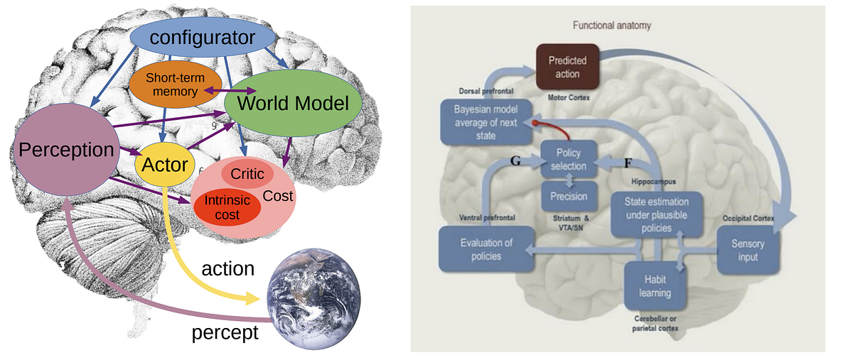 The Brain of Prof. Le Cun. In a remarkable paper (Le Cun, 2022)… | by ...