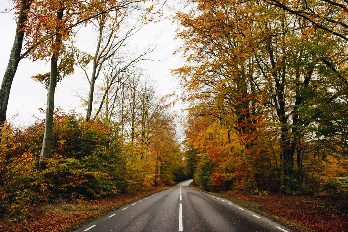 Directions. Poetry of life. | by David Rudder | Woodworkers of the ...