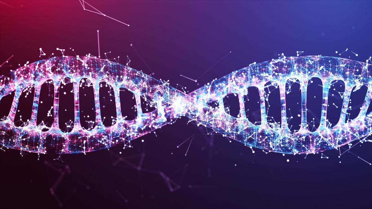 Genetic Algorithm for Solving Optimization Problems in C++ | by Markus ...