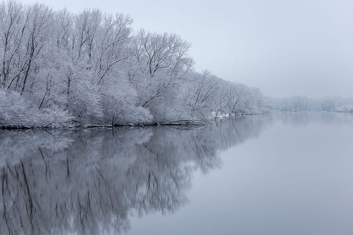 Peace: Find Being Within Stillness | by Lauri Novak | Namaste Now | Apr, 2025 | Medium