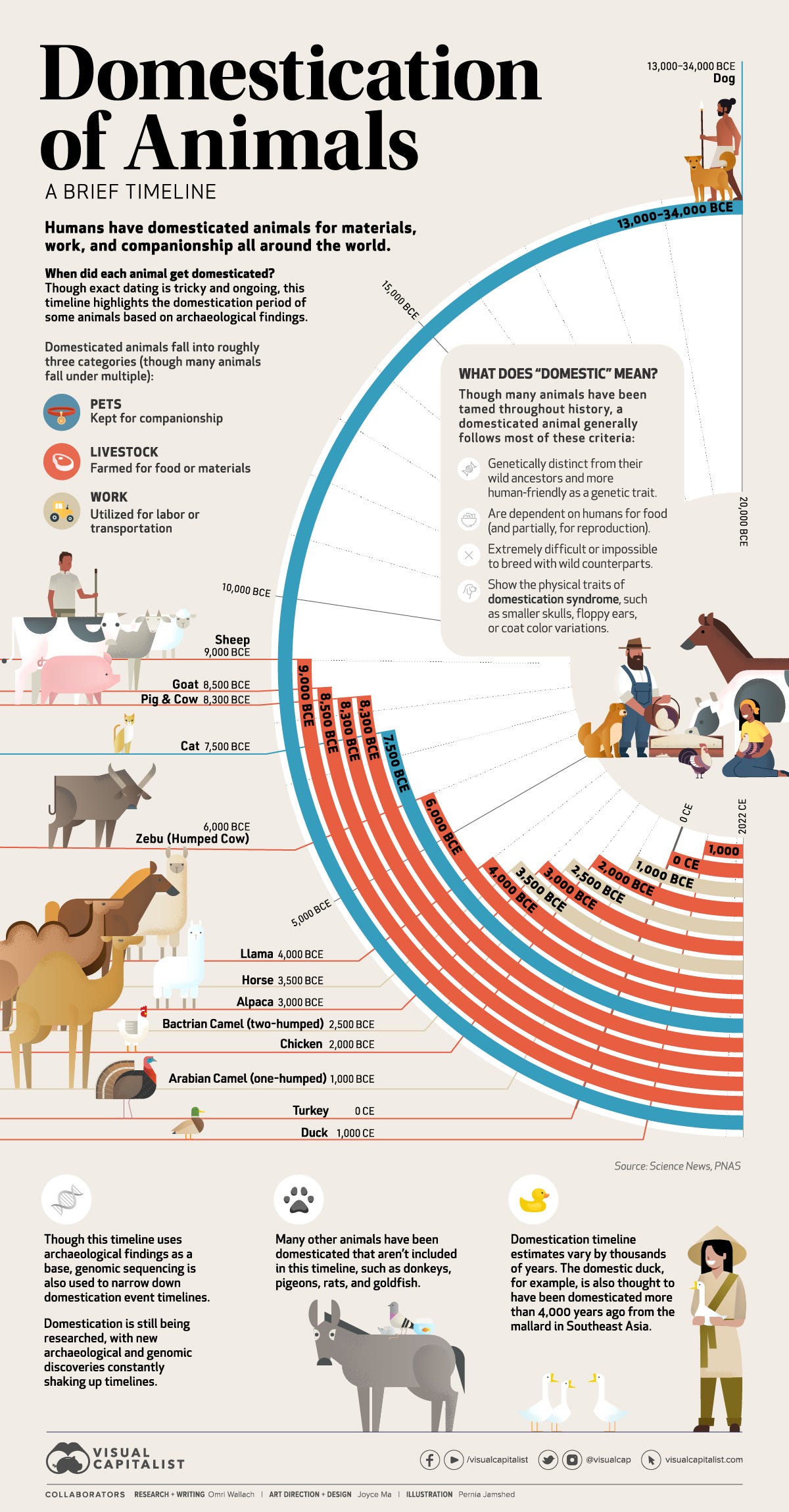 The Change of care for animals over time - Kadence McLimore - Medium