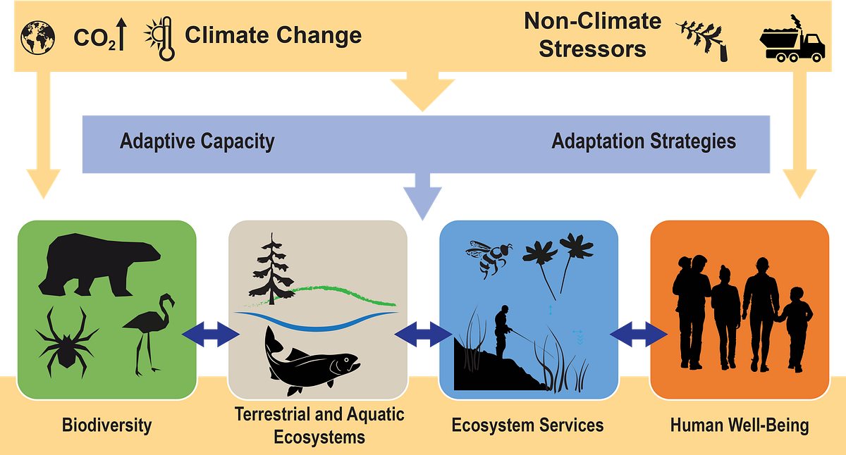 Ecosystem Services and Occupational Health: An In-Depth Analysis | by ...