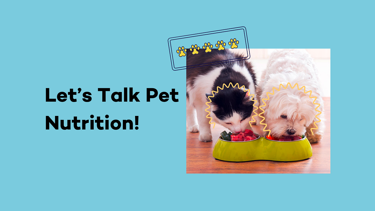 Pet Nutrition. Things to know about Pet Food | by The Good Paws | Feb ...