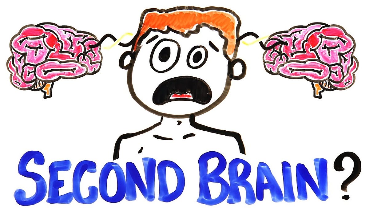 Do you know that we have 2 Brains? | by Dr. Shaima | Health and Science ...