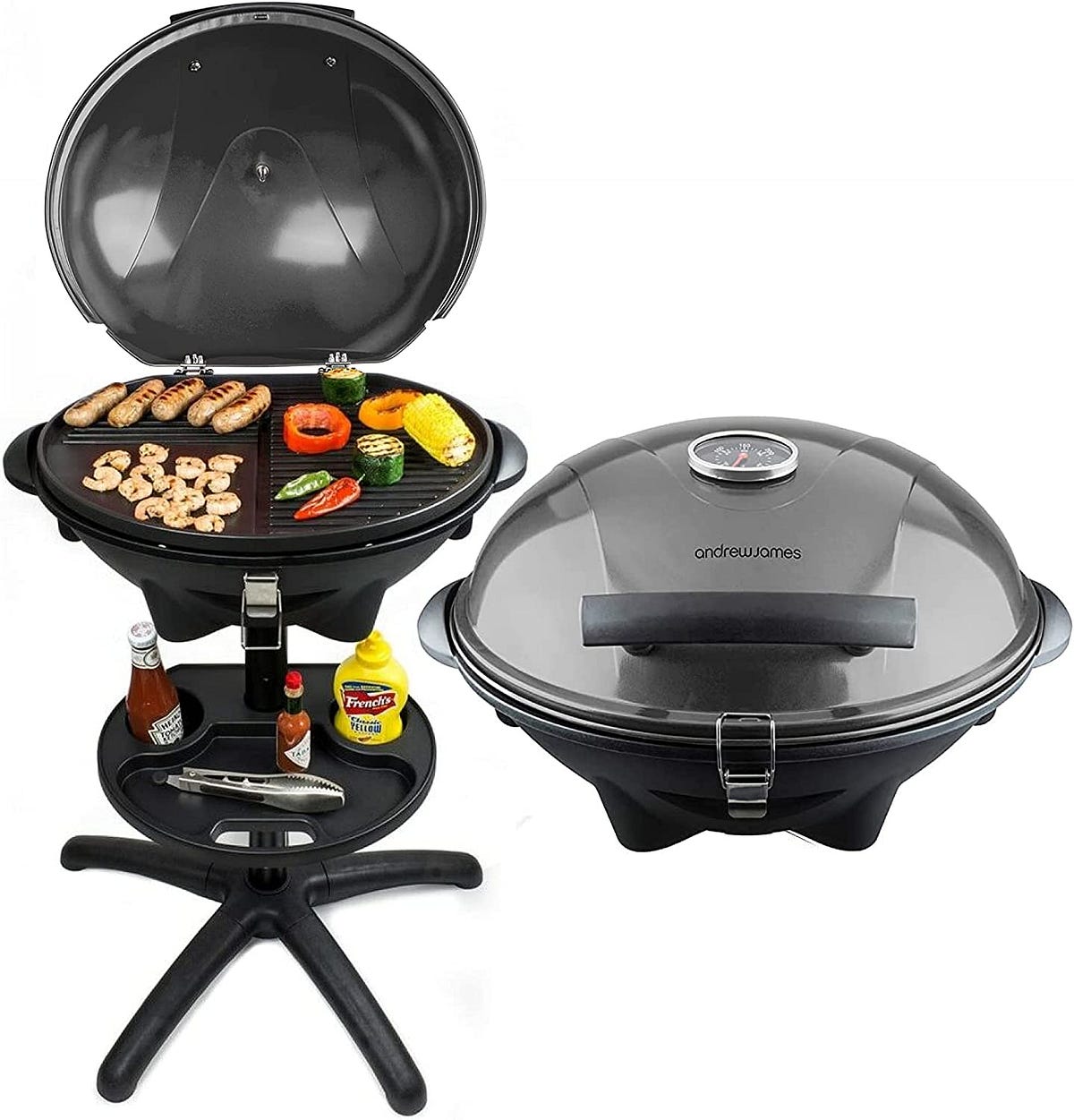 Unleashing the Flavor: The Irresistible Benefits of Portable Electric ...