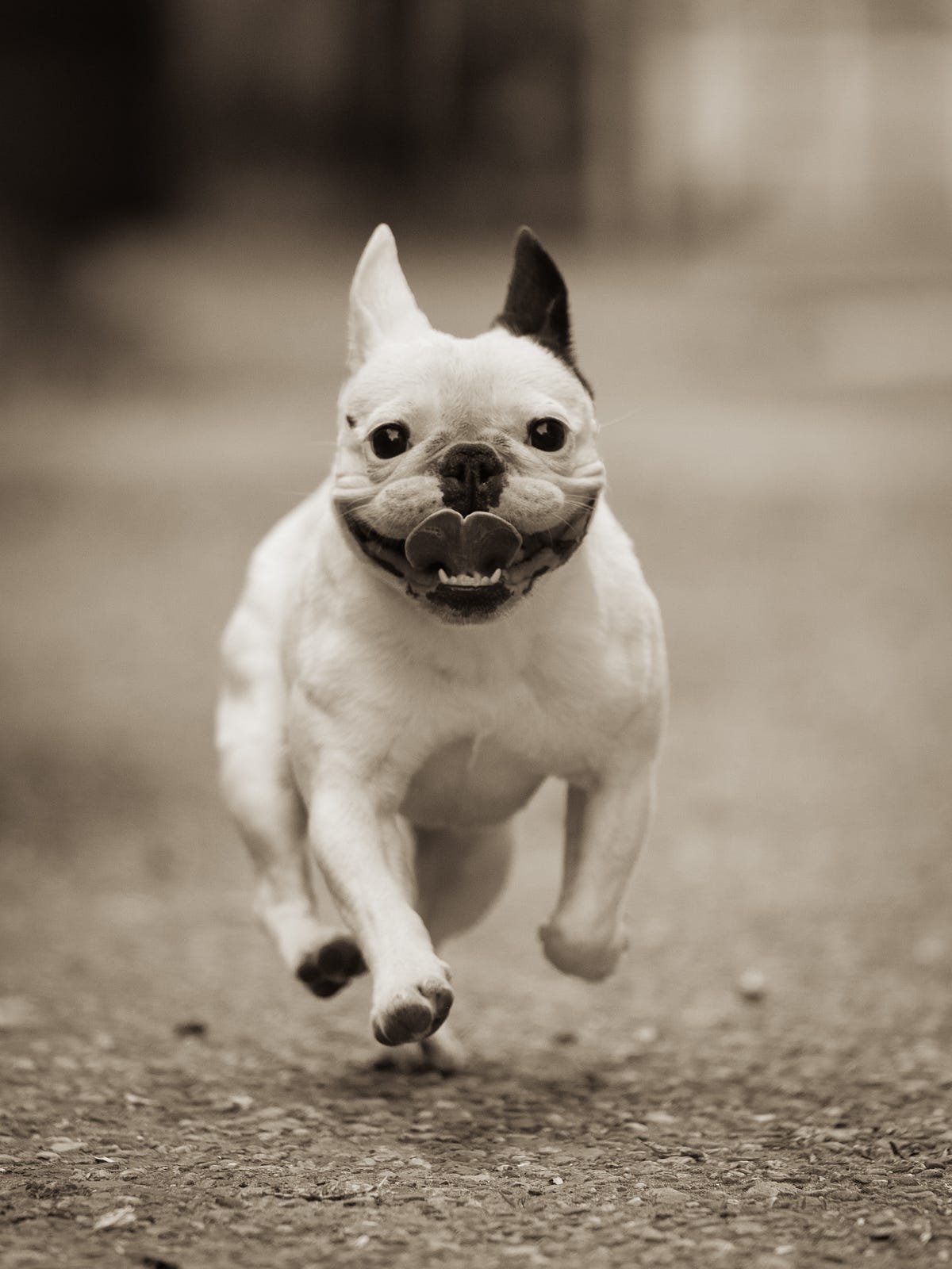 Clap and Dashers — A reply to Patrick Eades | by Michael Burg, MD ...