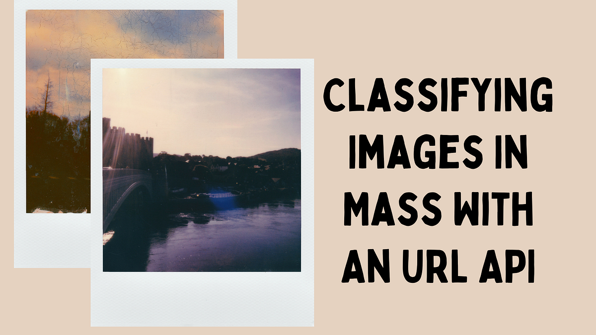 Classifying Images In Mass With An URL API | by TheStartupFounder.com | Medium