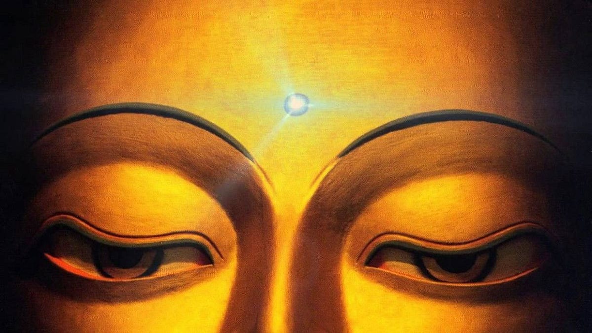 Shambhavi. The subtle aspect of Shambhavi mudra | by Yash Om | Sanatana ...