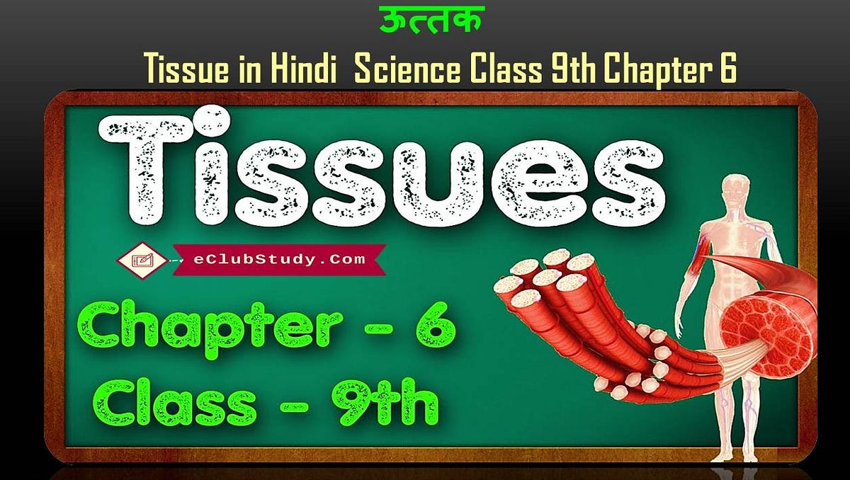 Tissue In Hindi Science Class 9th Chapter 6 | ऊत्तक क्या है | by Rakesh ...