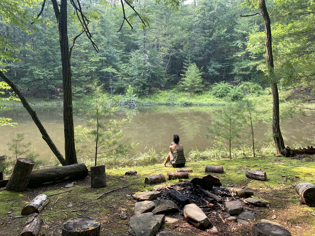 Meeting my self at an American Zen Buddhist Monastery — TAYZAU | Medium ...