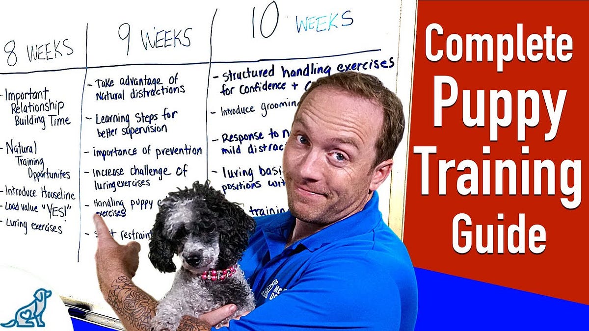 A Detailed Guide to Puppy Training Schedule by Age | by Blackchristina ...