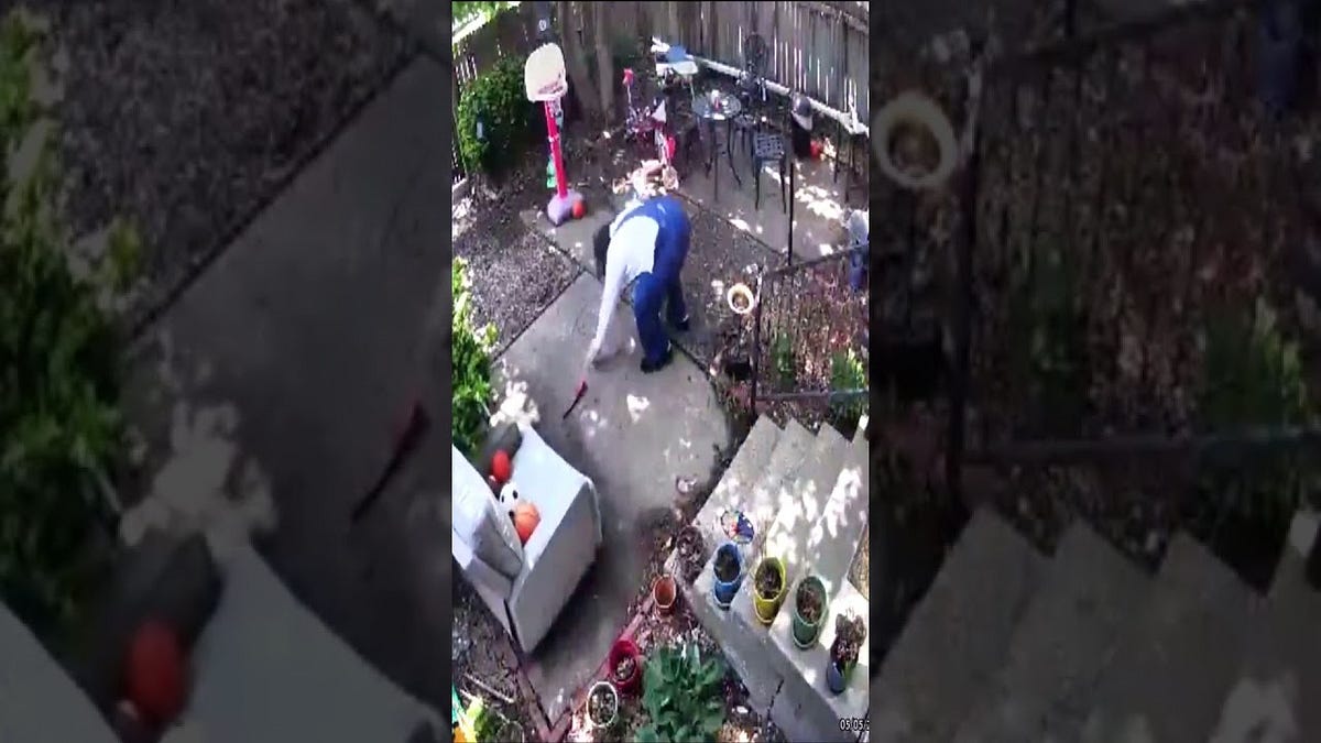 Doorbell Camera Catches Man Tripping off Stairs | Doorbell Camera Video ...