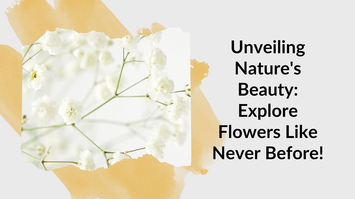 Unveiling Nature’s Beauty: Explore Flowers Like Never Before! | by ...