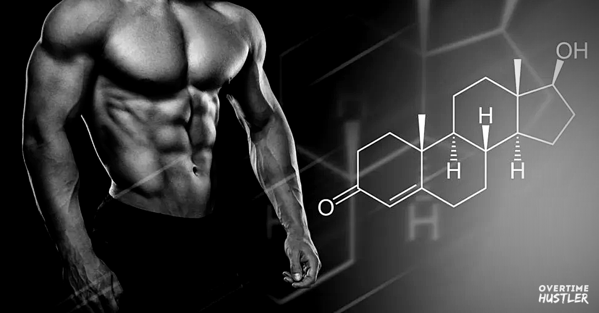 Creatine: Effects, Strength Increase, And Muscle Growth | by Mirza ...