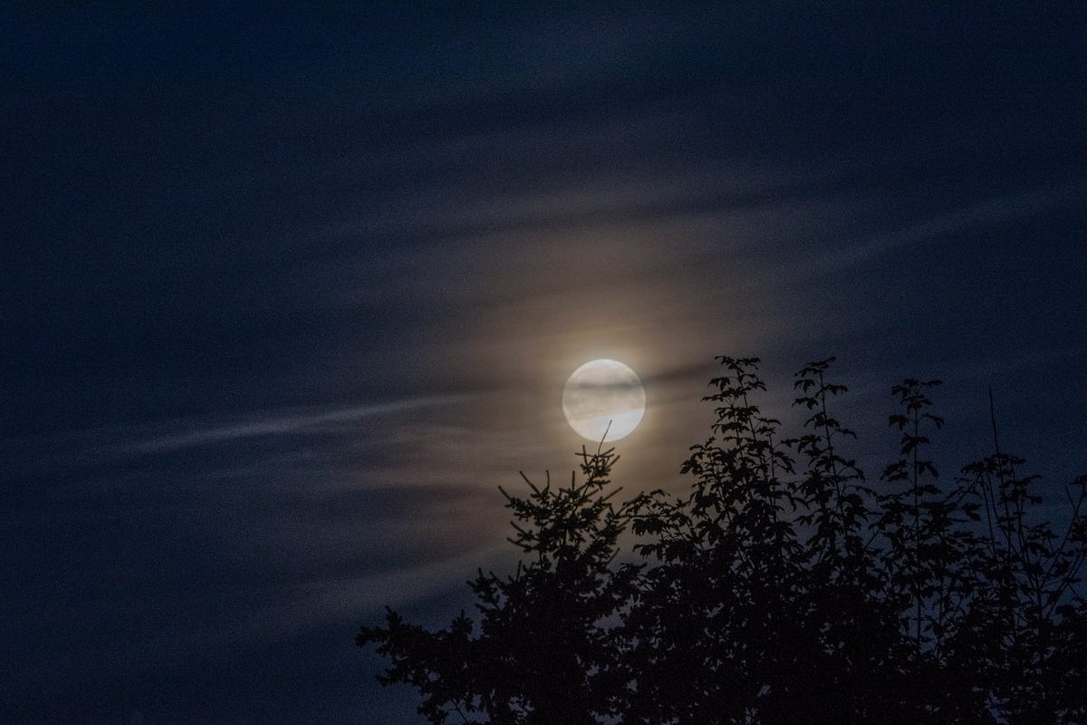 Moon Radiance. Moon shines radiantly in night sky | by Randy Shingler ...