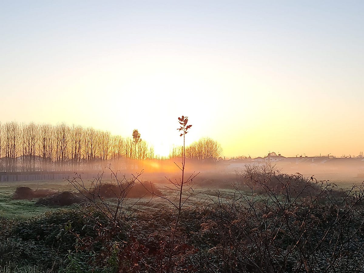 Journey to the Center of My Thoughts | by Rolando Andrade | Know Thyself, Heal Thyself | Nov ...